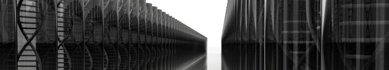 Practice Areas | Loza & Loza LLP